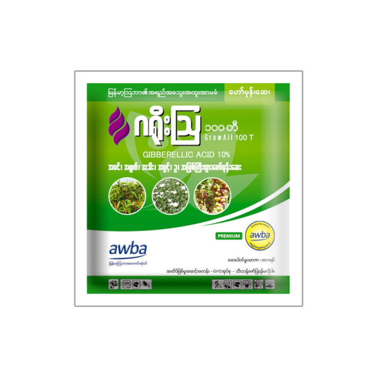 ဂရိုးဩ - Myanma Awba