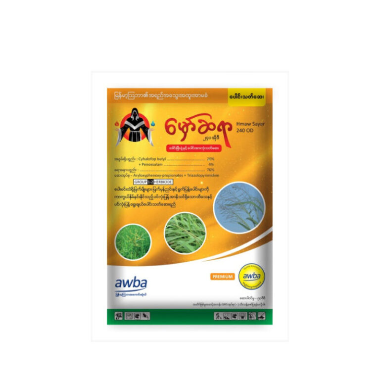 မှော်ဆရာ – Myanma Awba