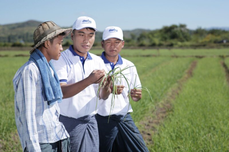 Myanma Awba – မြန်မာ့ဩဘာ အကောင်းဆုံးပါ