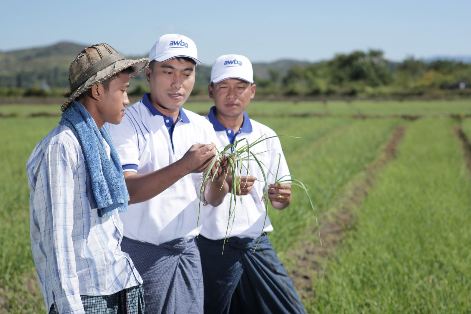 Myanma Awba – မြန်မာ့ဩဘာ အကောင်းဆုံးပါ